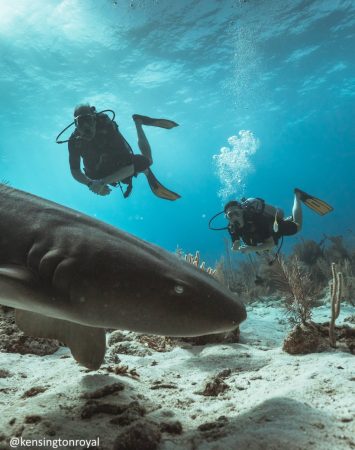 Kate Middleton's Red Jacket & White Trousers leaving Belize + Sea Diving