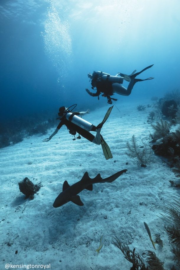 Kate Middleton's Red Jacket & White Trousers leaving Belize + Sea Diving