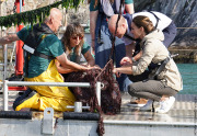 Kate Middleton Goes Casual Chic for Seaweed Farm Tour In Wales