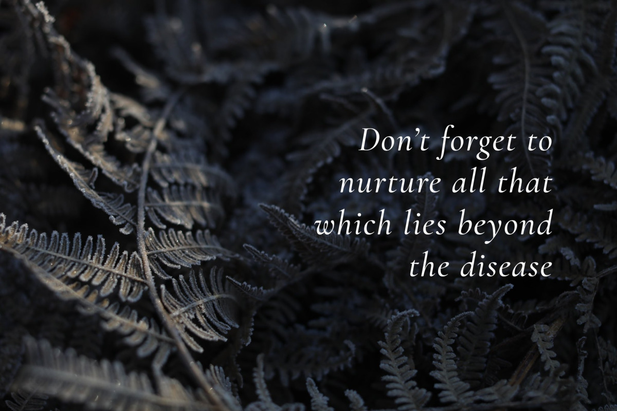 The Princess of Wales Shares Message for World Cancer Day—Featuring a ...